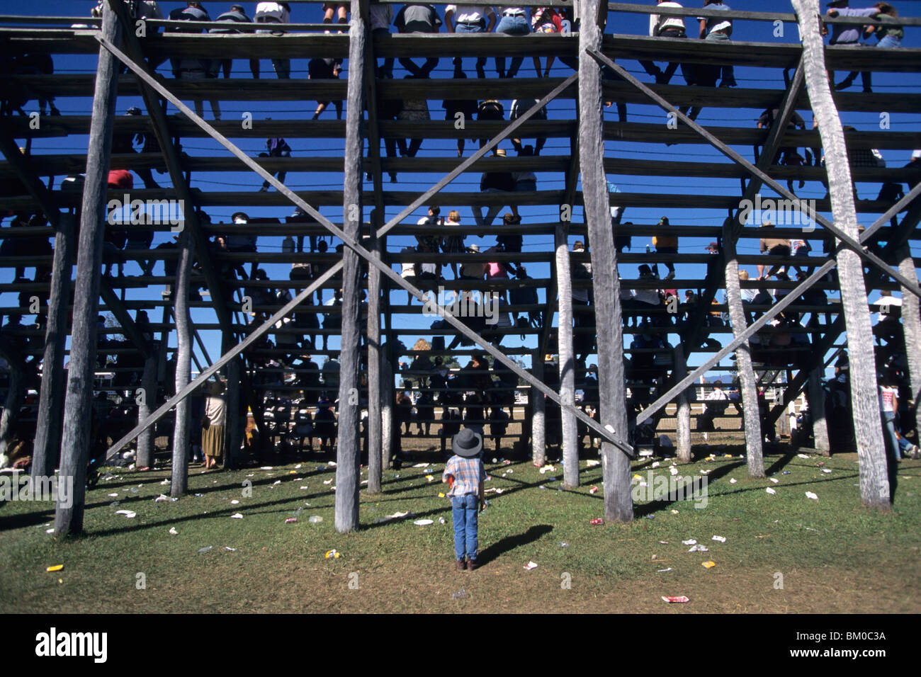 Young Cowboy at Rodeo Grandstand, Mareeba Rodeo, Mareeba, Queensland ...