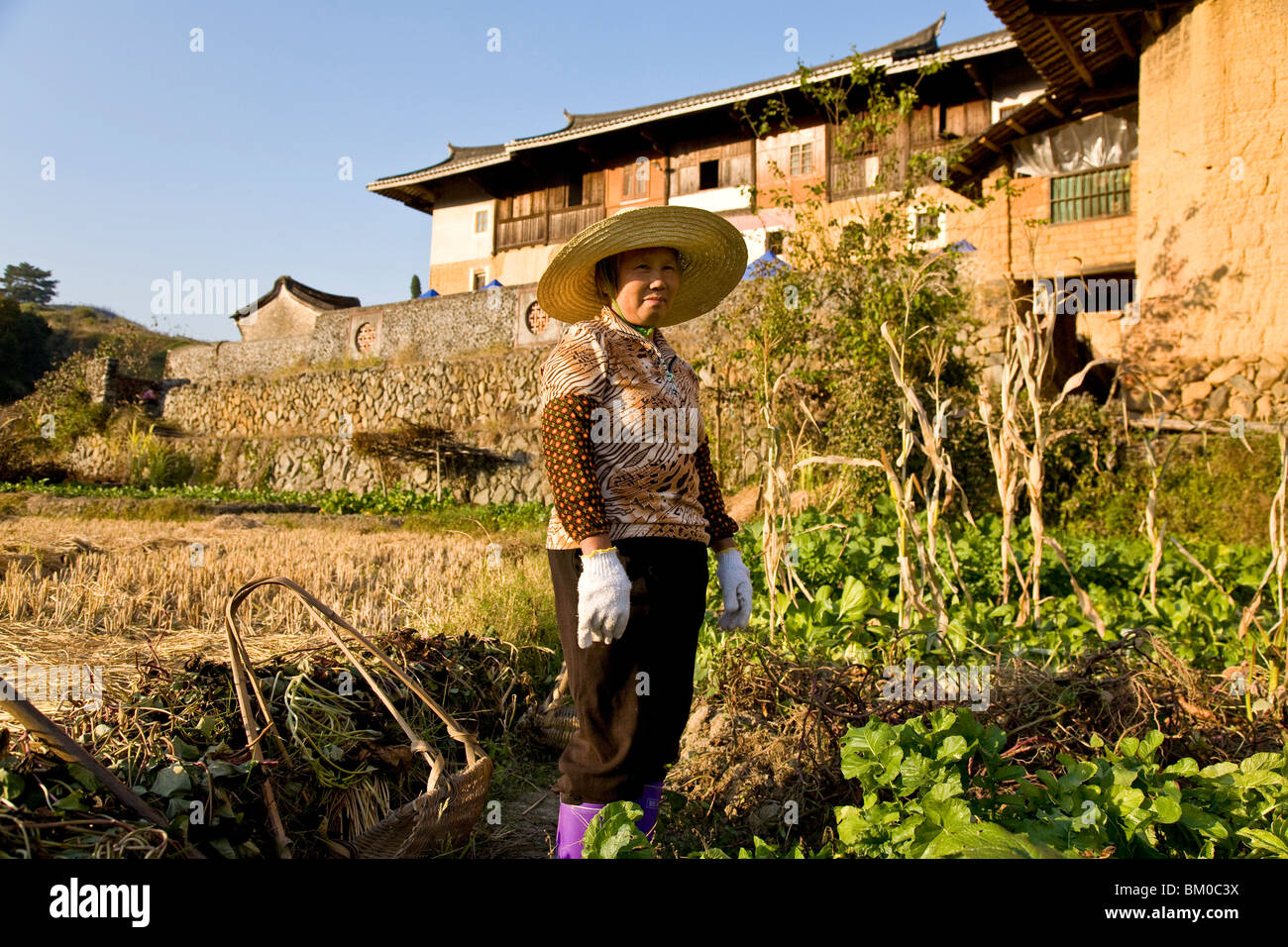 Chinese farmer on a field in front of traditional earthen house of the ...