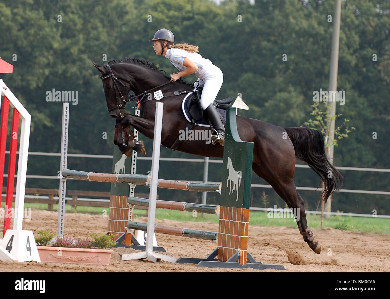 Bay oxer showjumping jump hi-res stock photography and images - Alamy