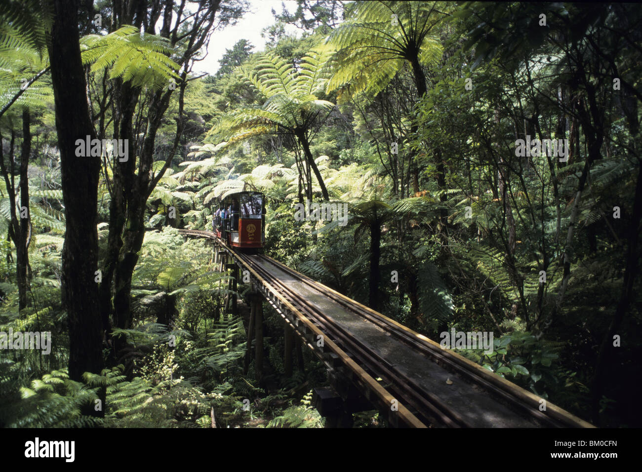 Driving Creek Railway, Coromandel, Coromandel Peninsula, North Island ...