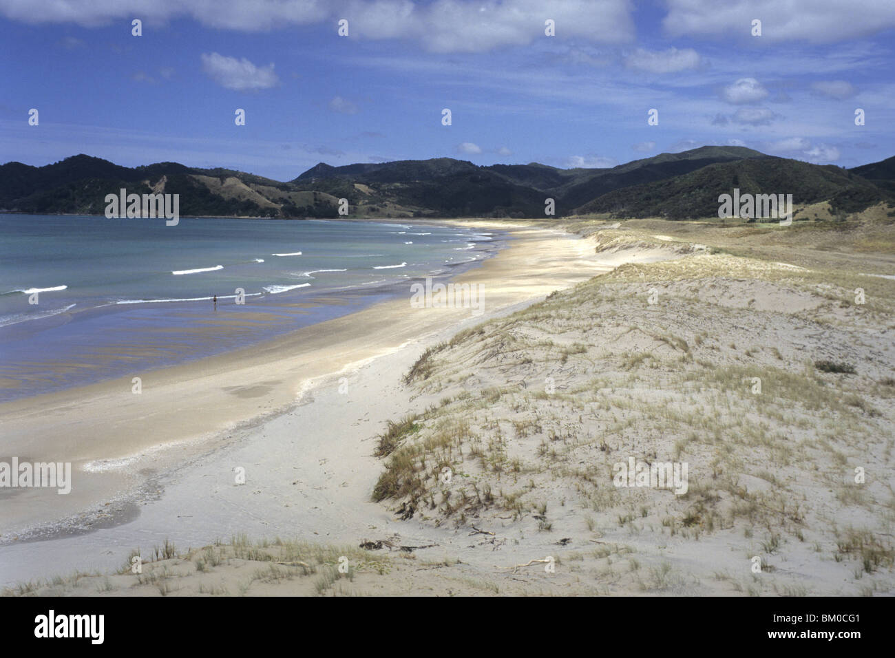 Beach at Waikawau Bay, Coromandel Peninsula, North Island, New Zealand ...