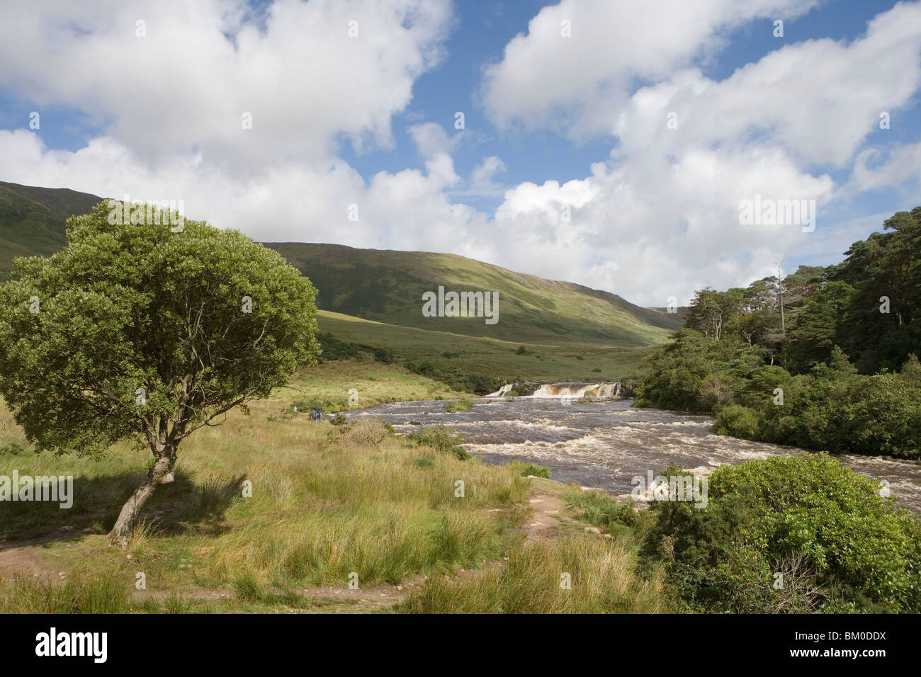 Aasleagh Falls on River Erriff, Near Leenane, County Mayo, Ireland ...