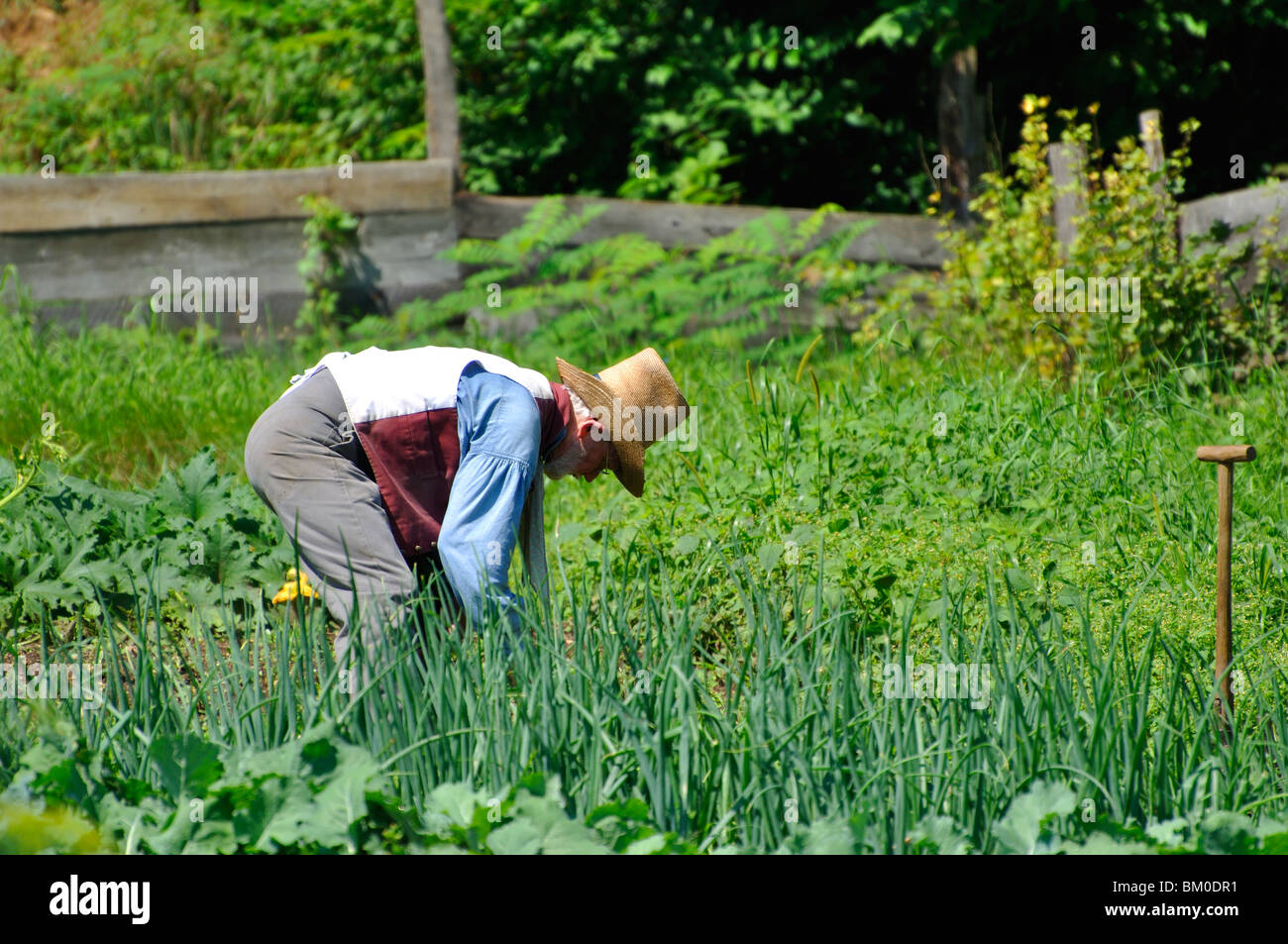 1770s american farm hi-res stock photography and images - Alamy