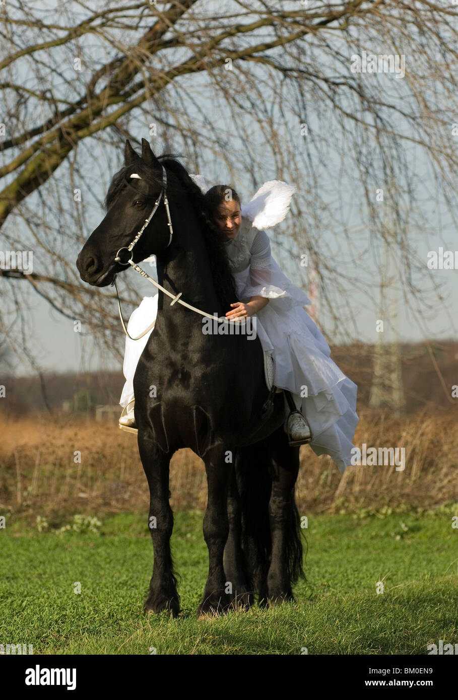 angel and friesian horse Stock Photo - Alamy