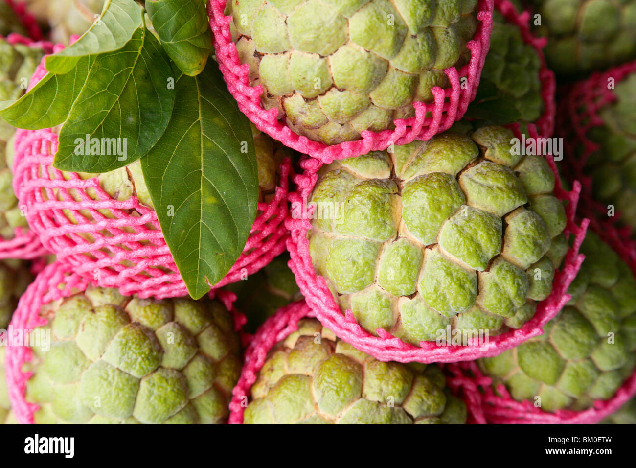 Cinnamon apple, buddha head fruit, Taidong, Taitung, Republic of China ...