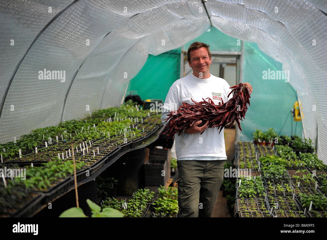 Chilli farm devon hi-res stock photography and images - Alamy