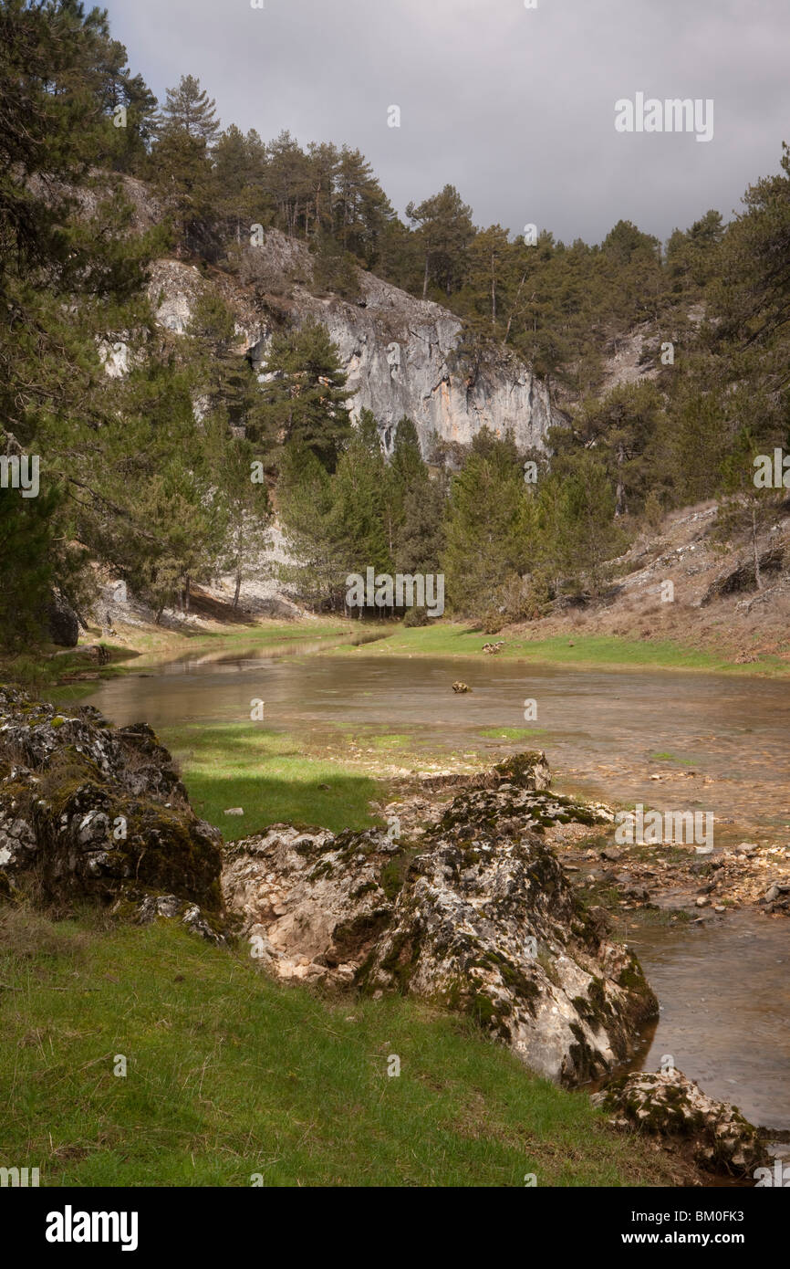 Lobos de rio hi-res stock photography and images - Alamy