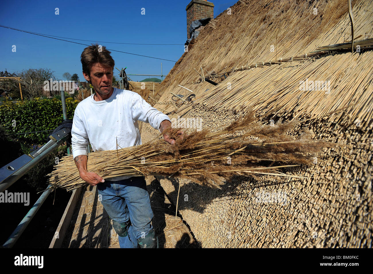 Glen Holloway, a master thatcher pictured working on a thatched roof ...