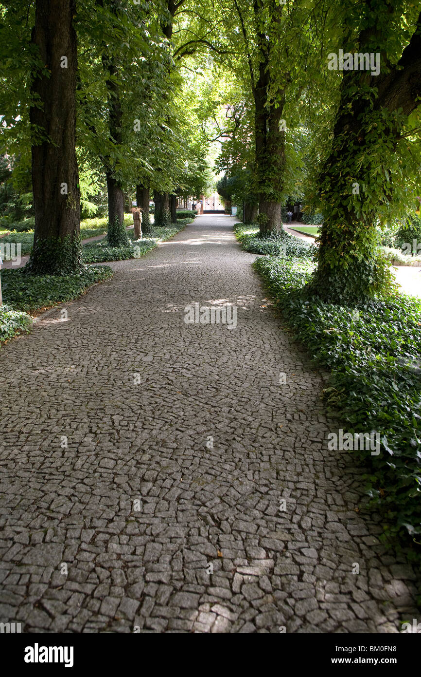 Botanical garden, Wroclaw, Poland Stock Photo - Alamy