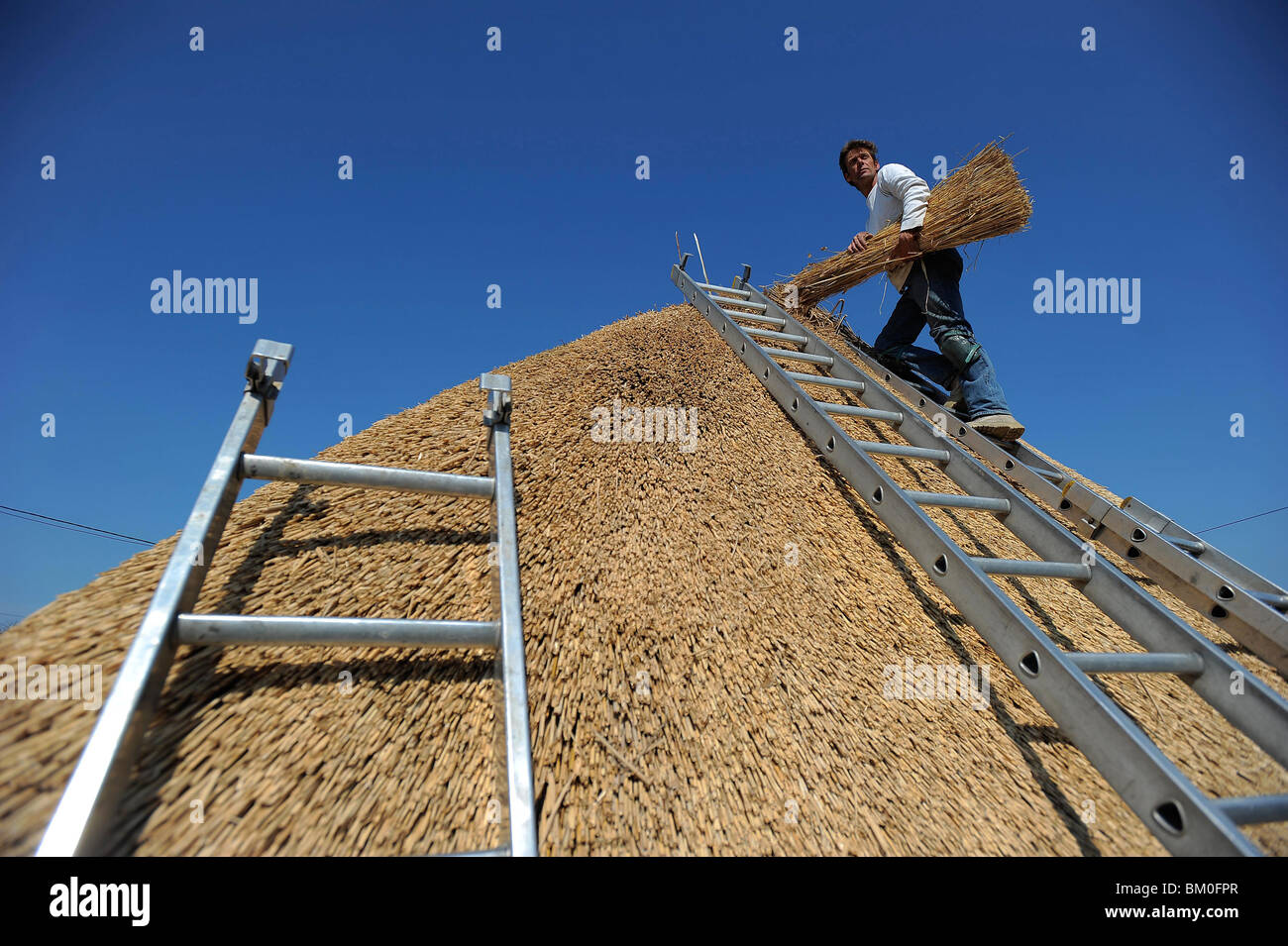 Glen Holloway, a master thatcher pictured working on a thatched roof ...