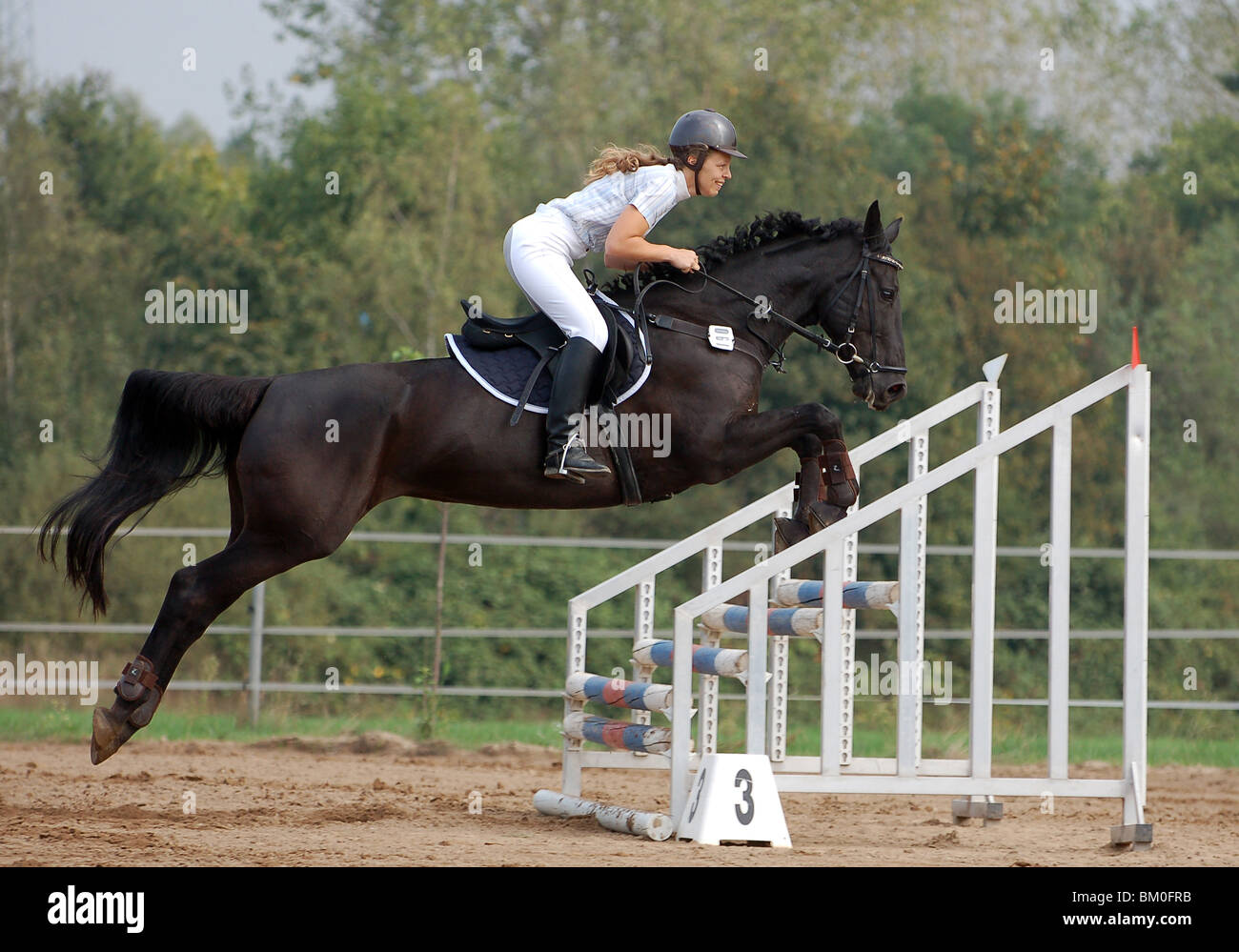 Showjumping riders hi-res stock photography and images - Alamy
