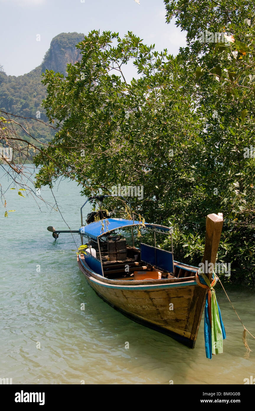 Divided tail hi-res stock photography and images - Alamy