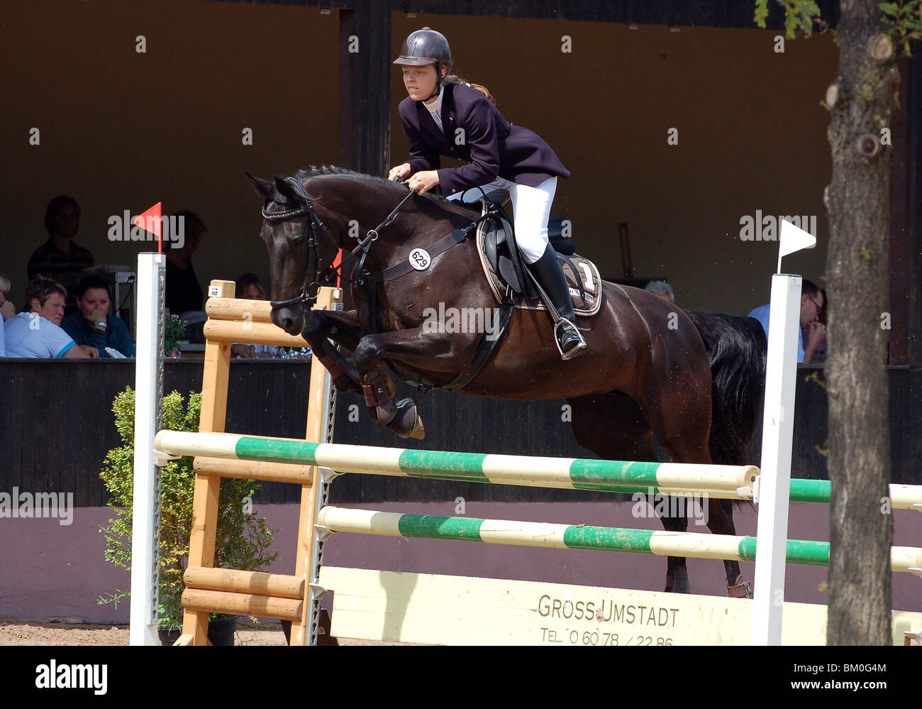 Bay oxer showjumping jump hi-res stock photography and images - Alamy