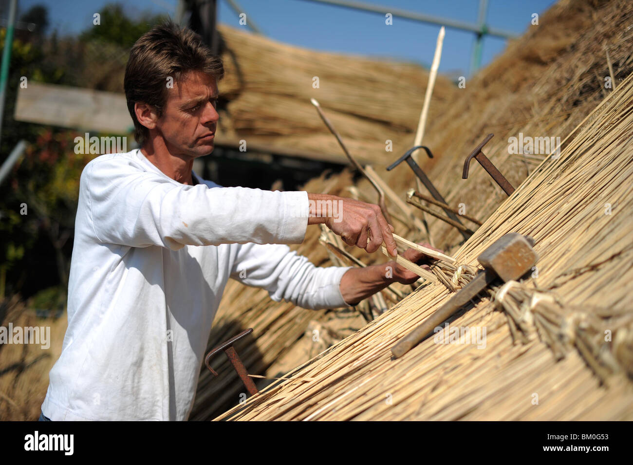 Glen Holloway, a master thatcher pictured working on a thatched roof ...