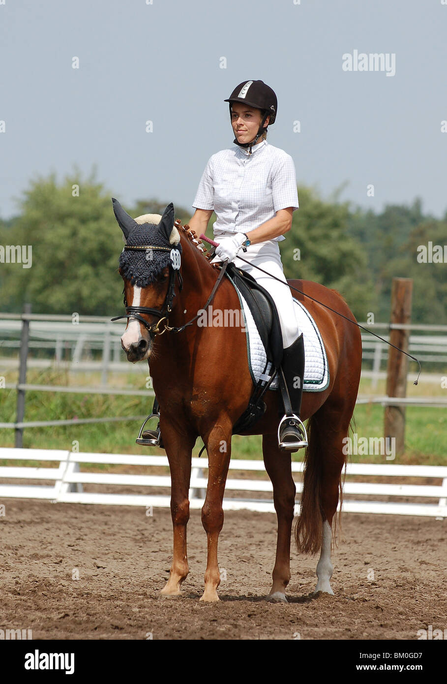Woman riding chestnut dressage horse hi-res stock photography and ...