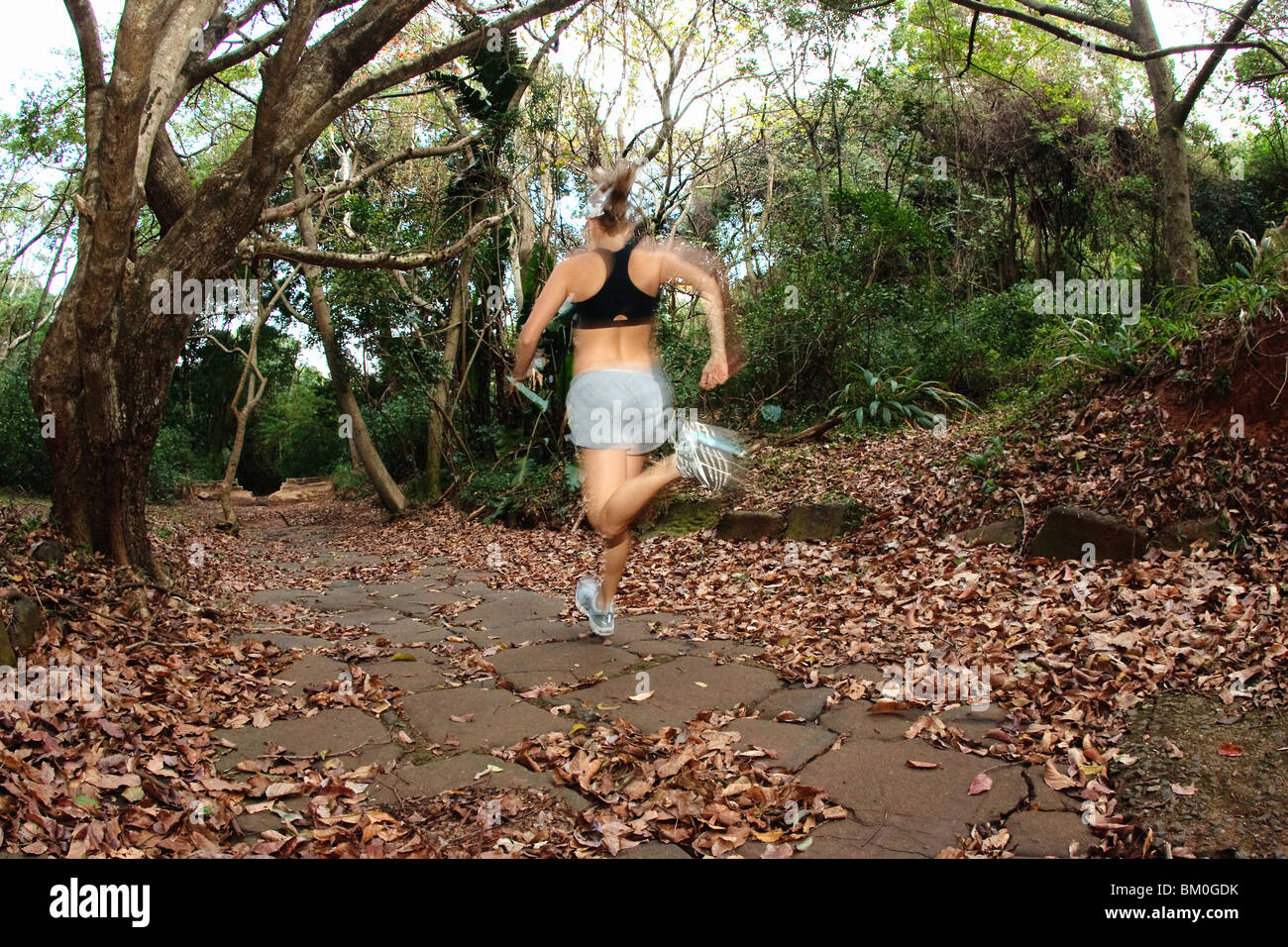Female runner in urban park, Durban, KwaZulu-Natal Province, South ...
