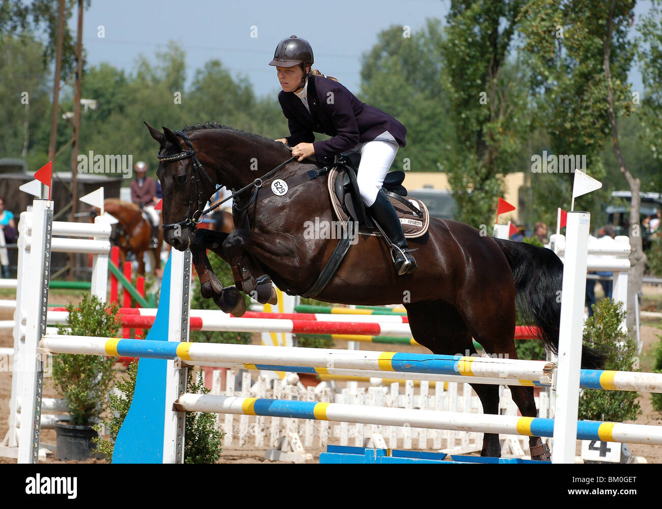 Bay oxer showjumping jump hi-res stock photography and images - Alamy