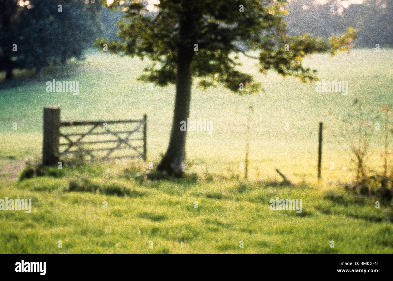 Fence in a field Stock Photo - Alamy