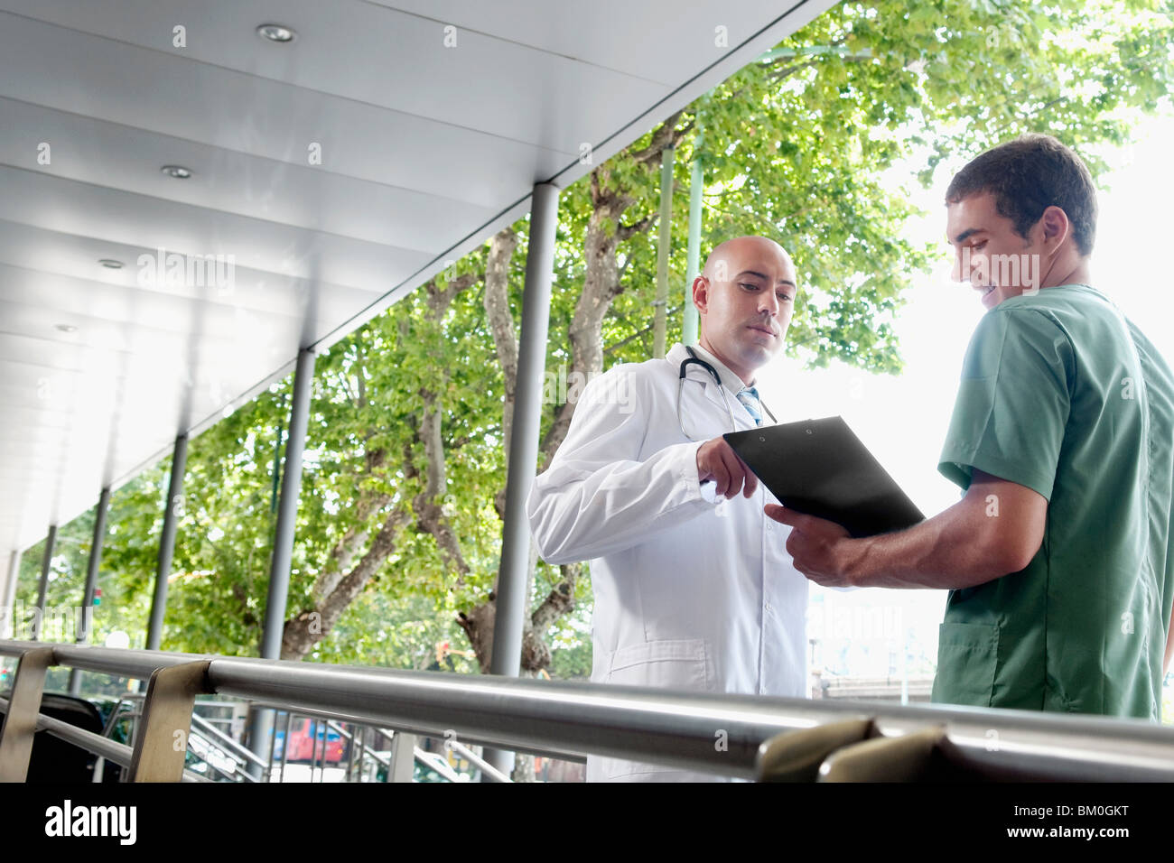 Nurse tree hi-res stock photography and images - Alamy