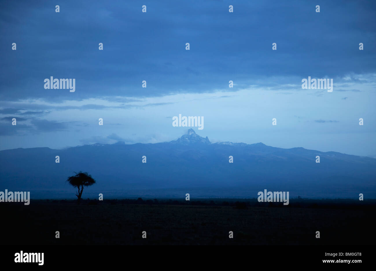 Mount Kenya Conservancy High Resolution Stock Photography and Images ...