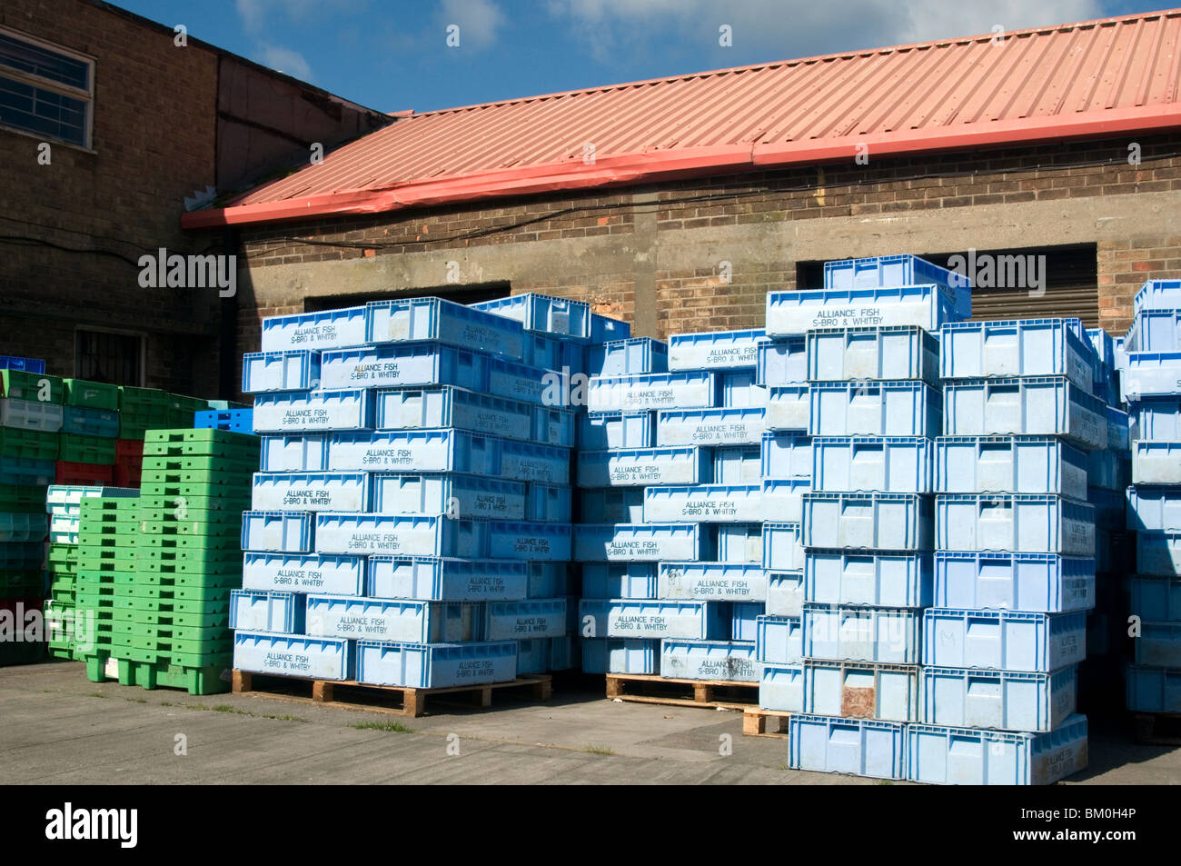 fishing catch fish market docks quota system eu European union box ...
