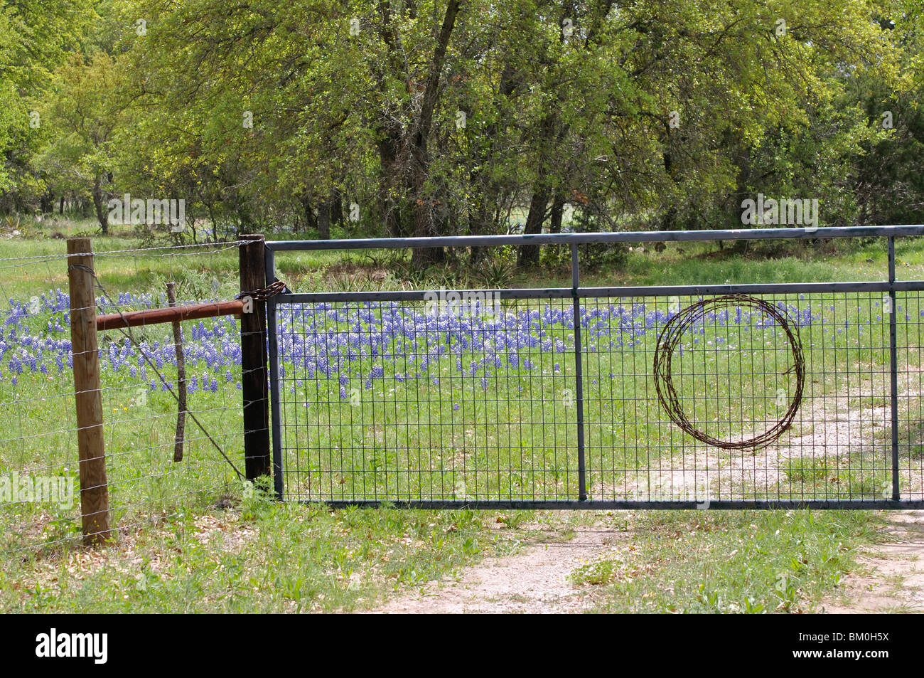 Ranch gate, Texas, USA Stock Photo - Alamy