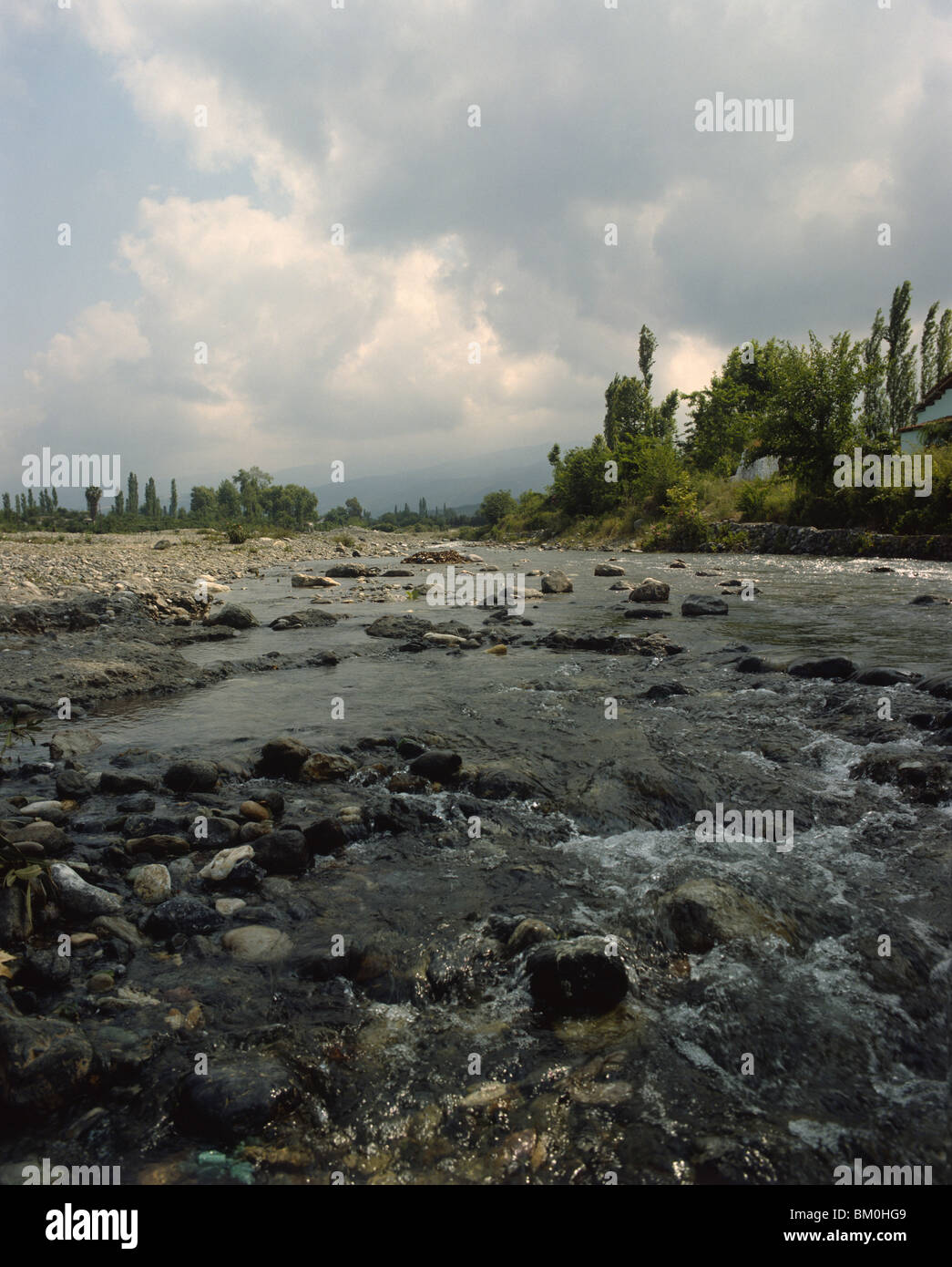 Issus turkey hi-res stock photography and images - Alamy