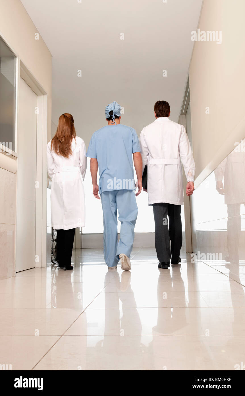 Rear view of three doctors walking in a hospital corridor Stock Photo ...