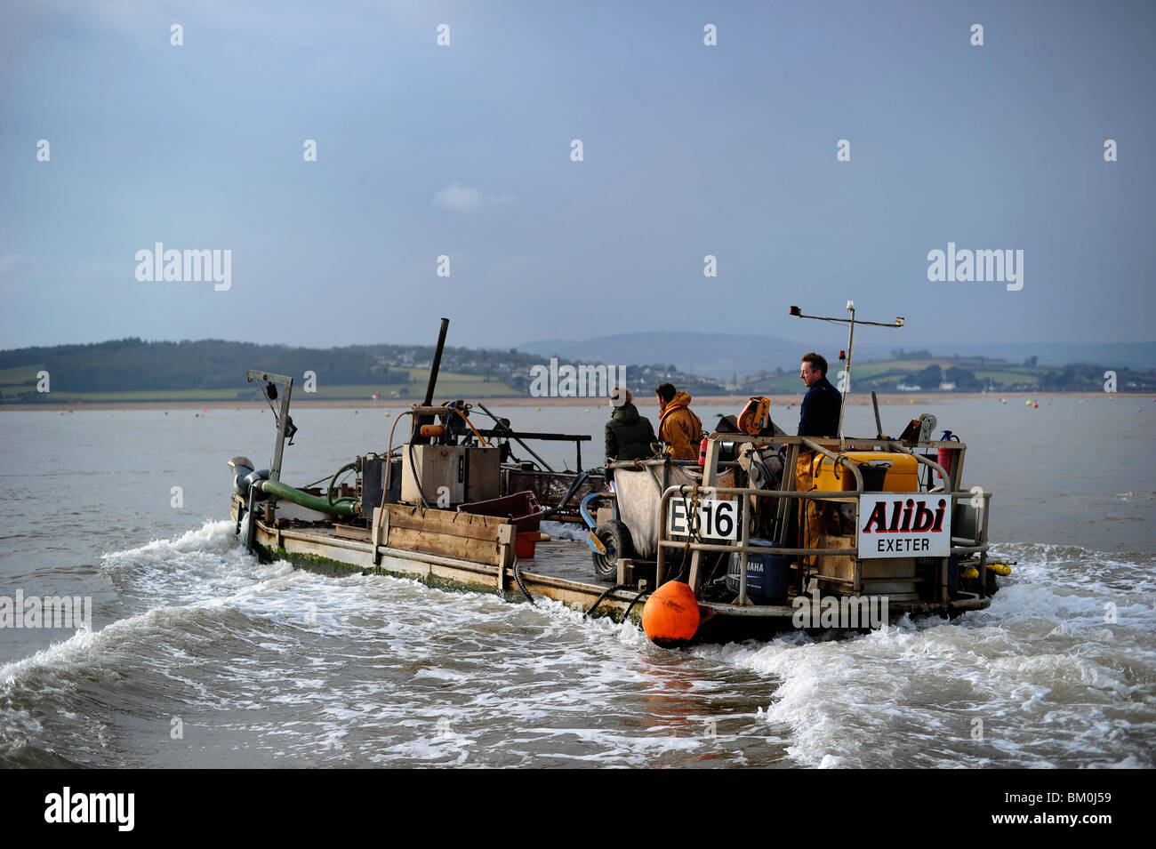 A mussel barge pictured working on the Exe Estuary, Exmouth, Devon ...