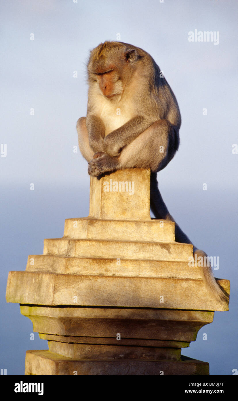 On top of a structure hi-res stock photography and images - Alamy