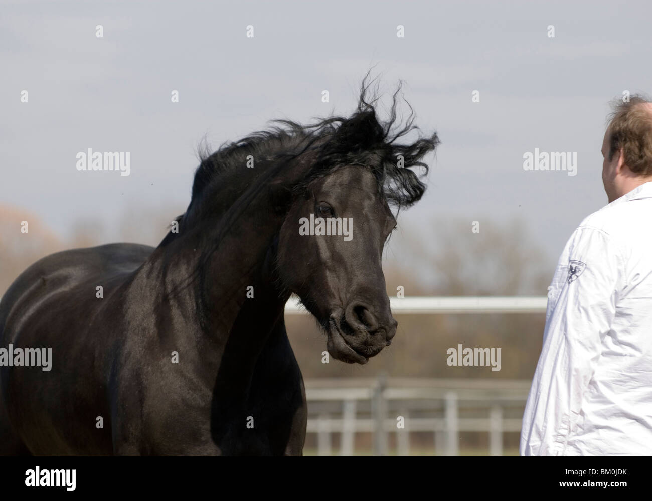 Outdoor portrait man shaking head hi-res stock photography and images ...