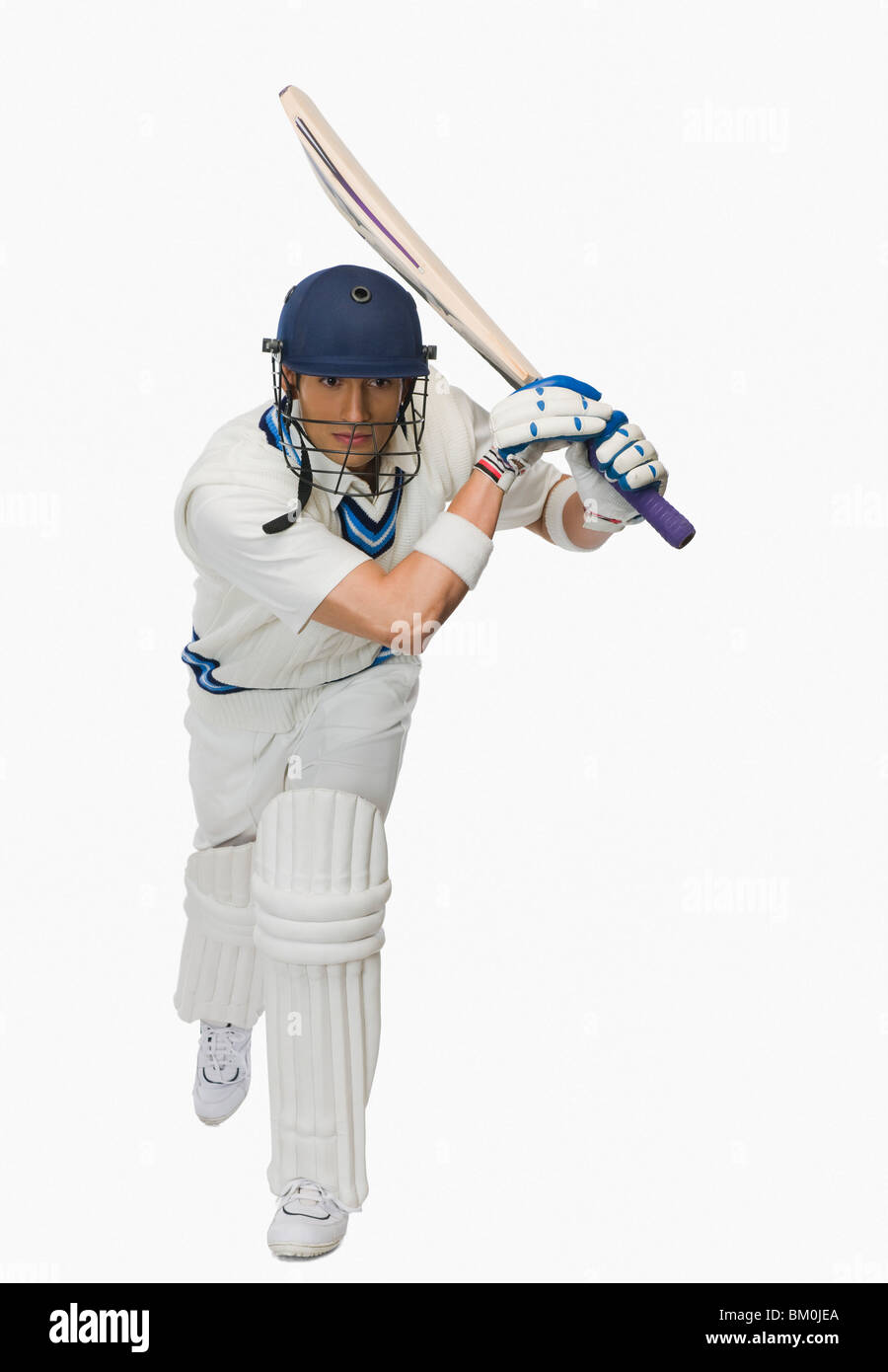 Cricket Front Legs Stock Photos & Cricket Front Legs Stock Images - Alamy