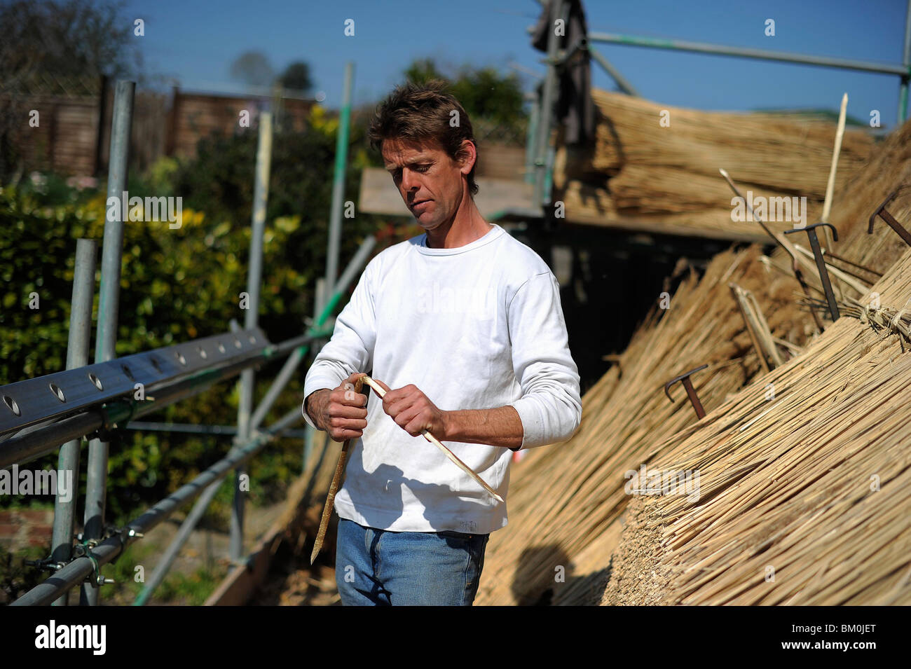 Glen Holloway, a master thatcher pictured working on a thatched roof ...