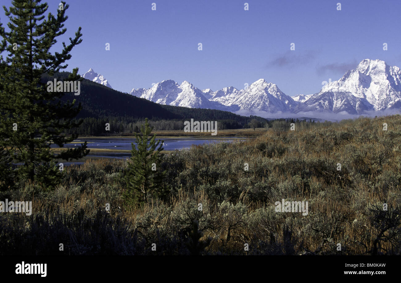 Panoramic view of snow covered mountains, Teton Range, Grand Teton ...