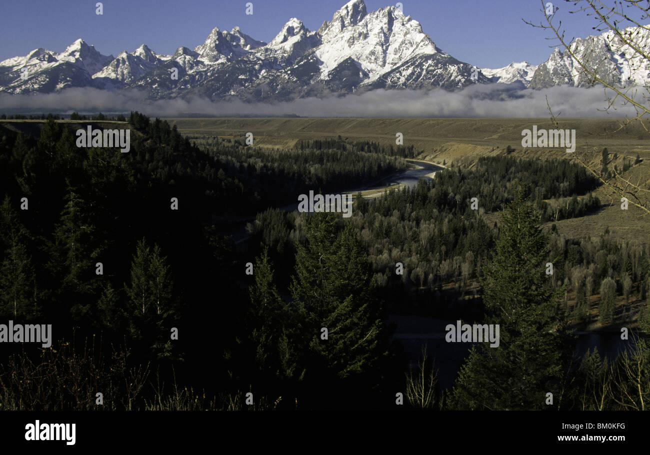 Forest with mountains in the background, Grand Teton, Teton Range ...