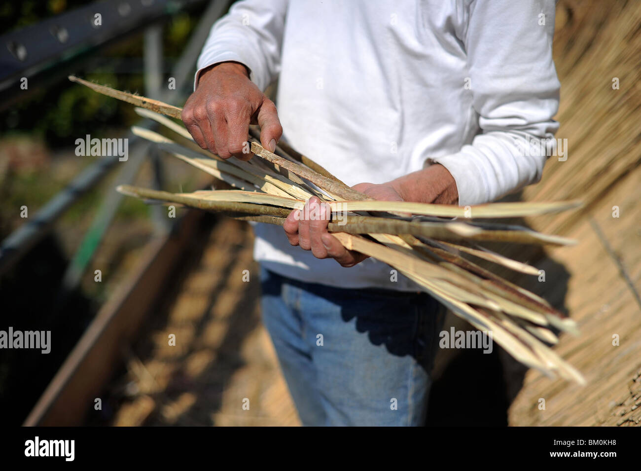 Glen Holloway, a master thatcher pictured working on a thatched roof ...