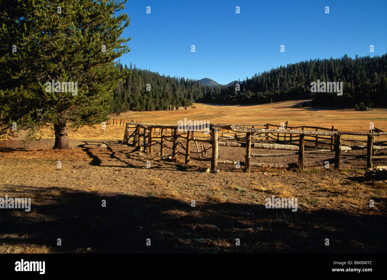 Animal pen in a field, Golden Trout Wilderness, California, USA Stock ...