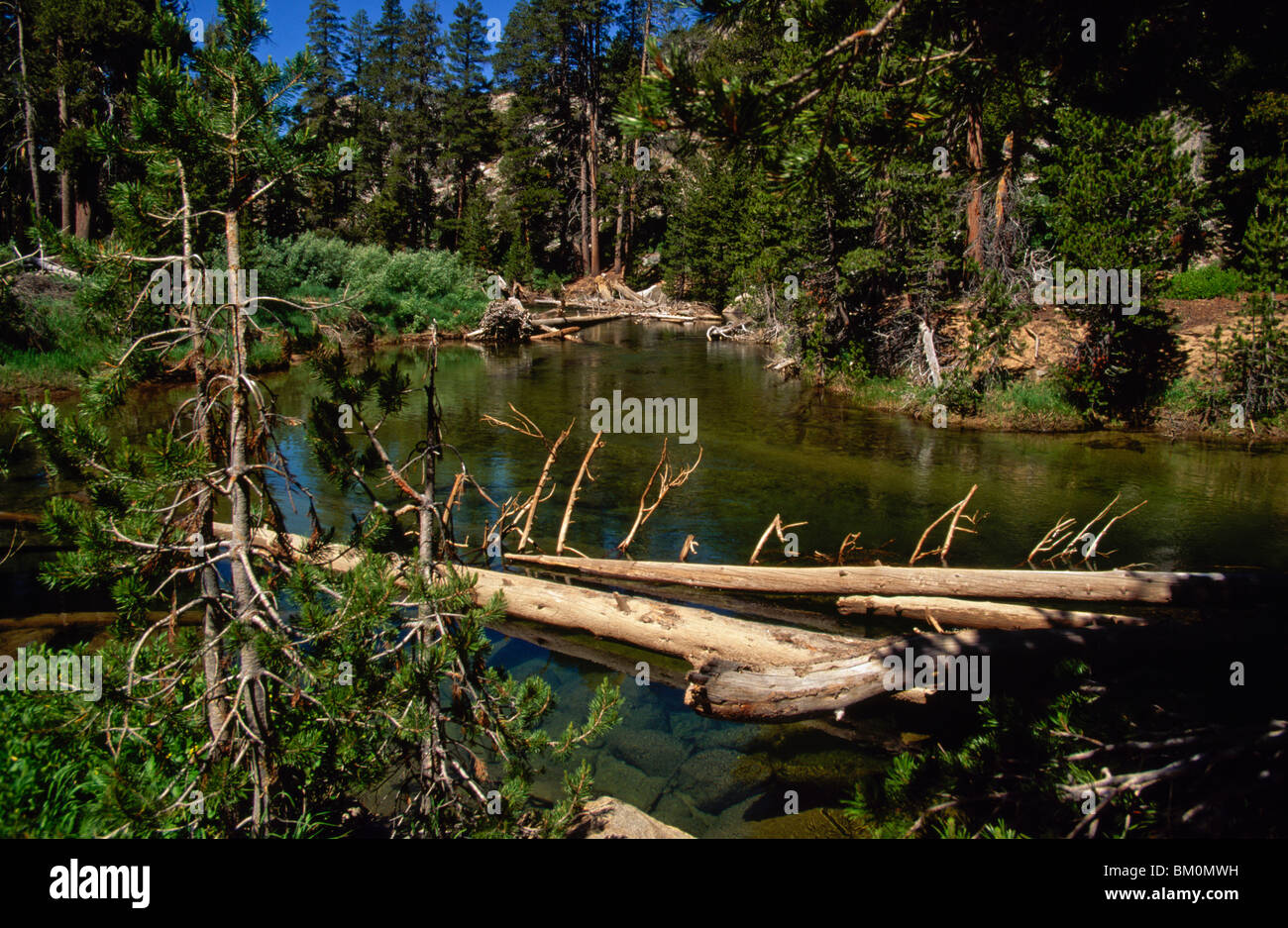 Walker river california usa hi-res stock photography and images - Alamy