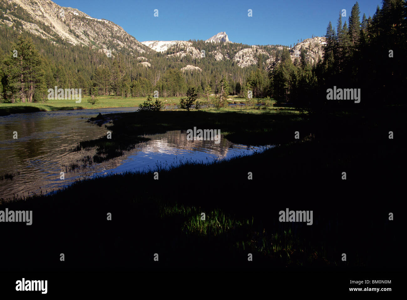 Inyo national forest hi-res stock photography and images - Alamy