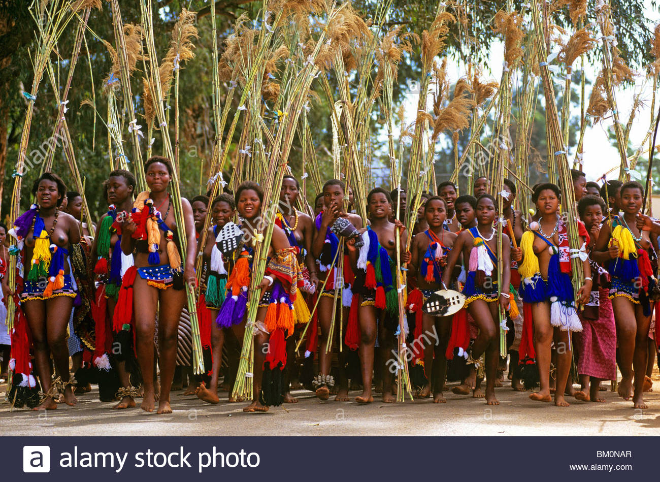 Reed Dance Swaziland High Resolution Stock Photography and Images - Alamy