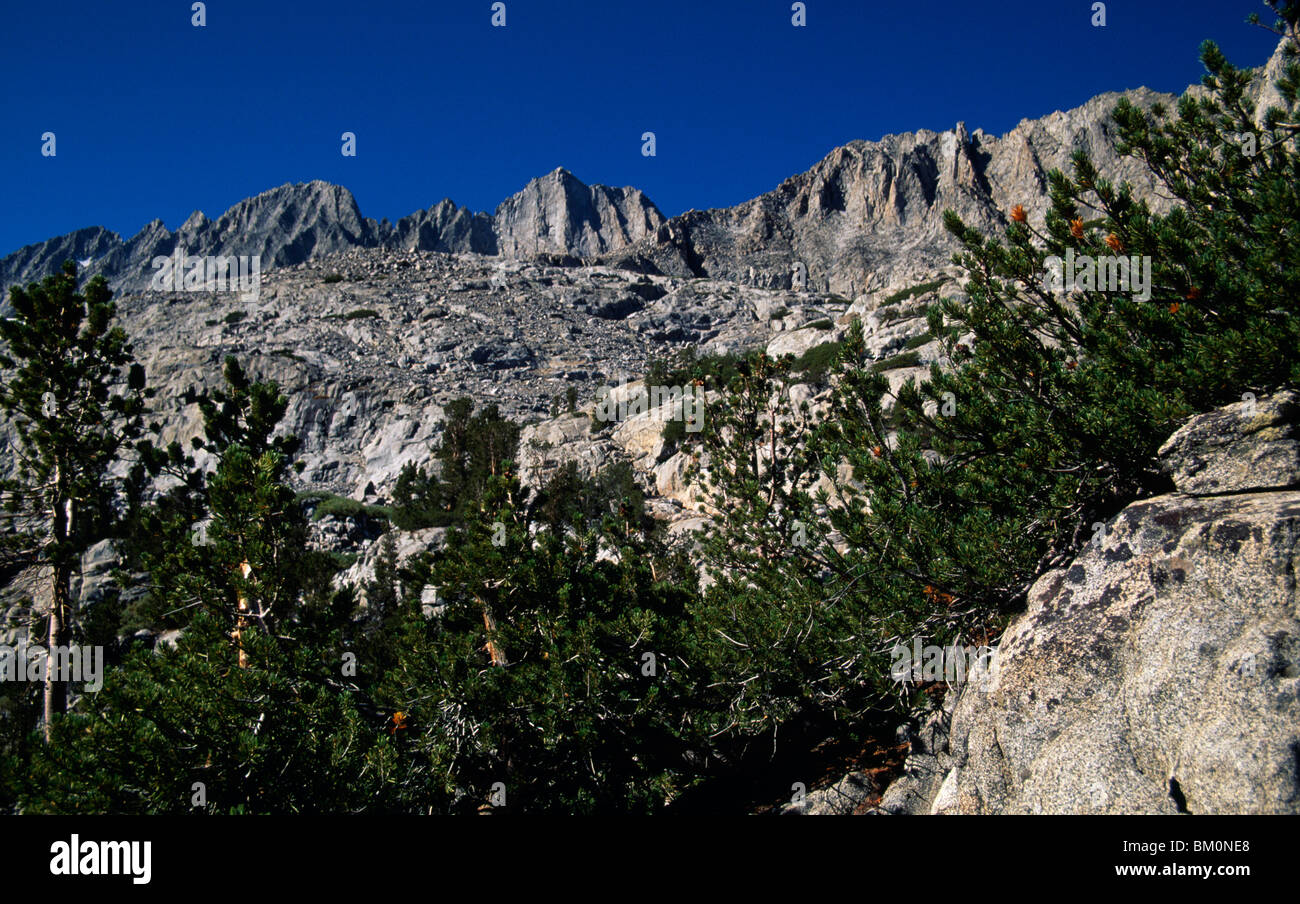 Scenics of john muir wilderness hi-res stock photography and images - Alamy
