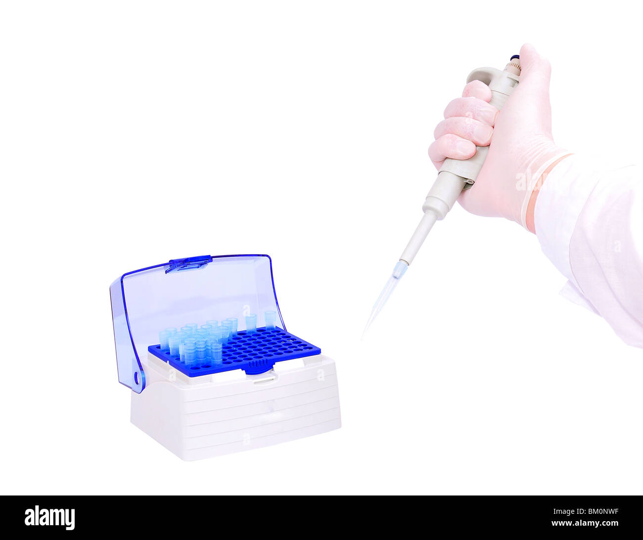 Hand holding pipette with blue tips. Isolated on white with clipping ...