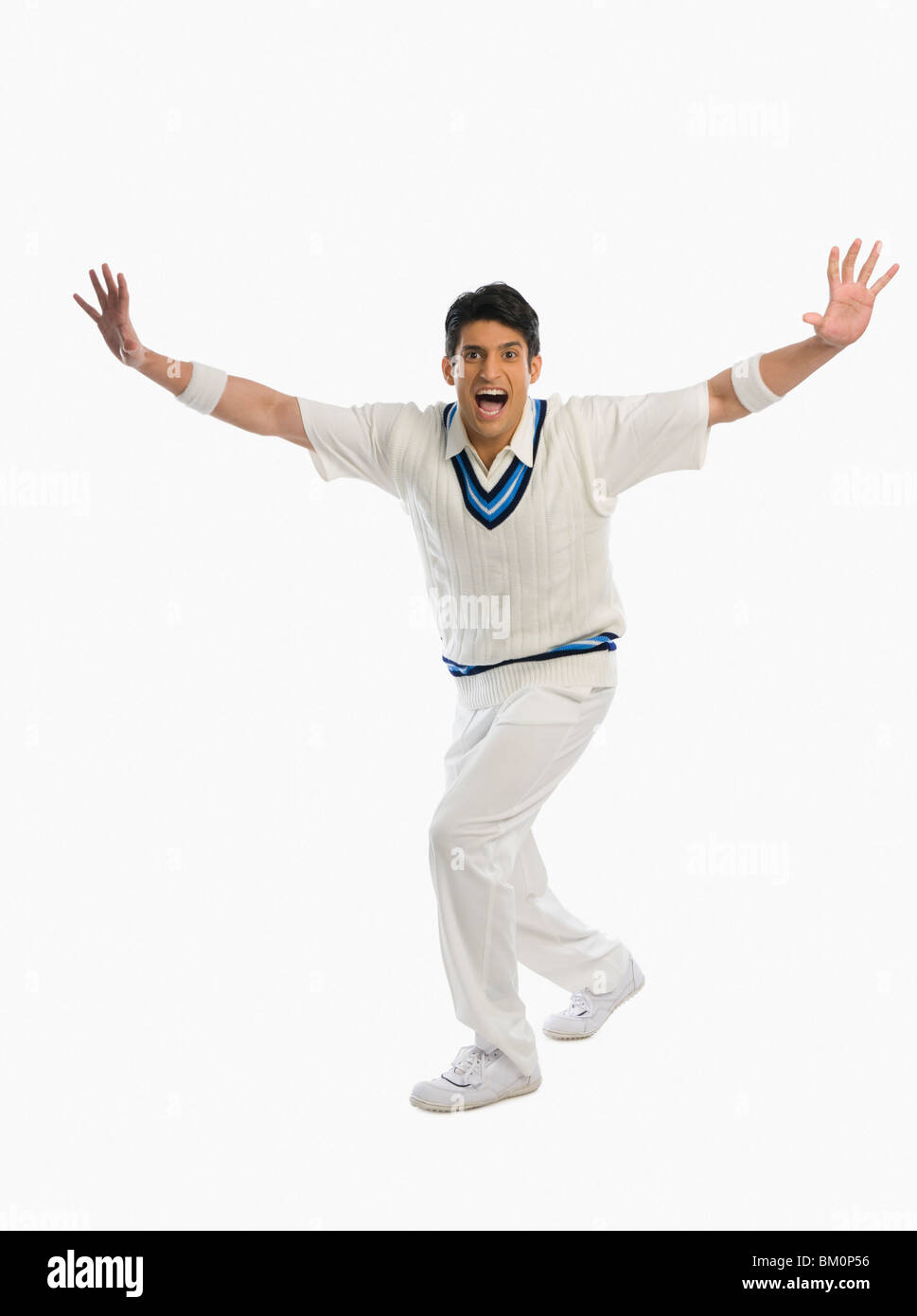 Sport cricket appealing out hi-res stock photography and images - Alamy