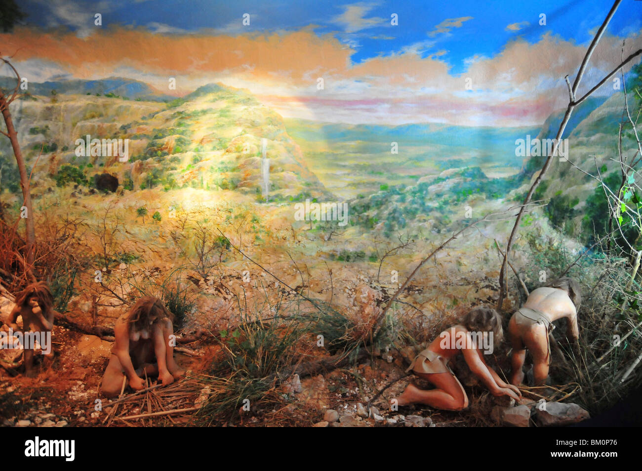Homo erectus model hi-res stock photography and images - Alamy