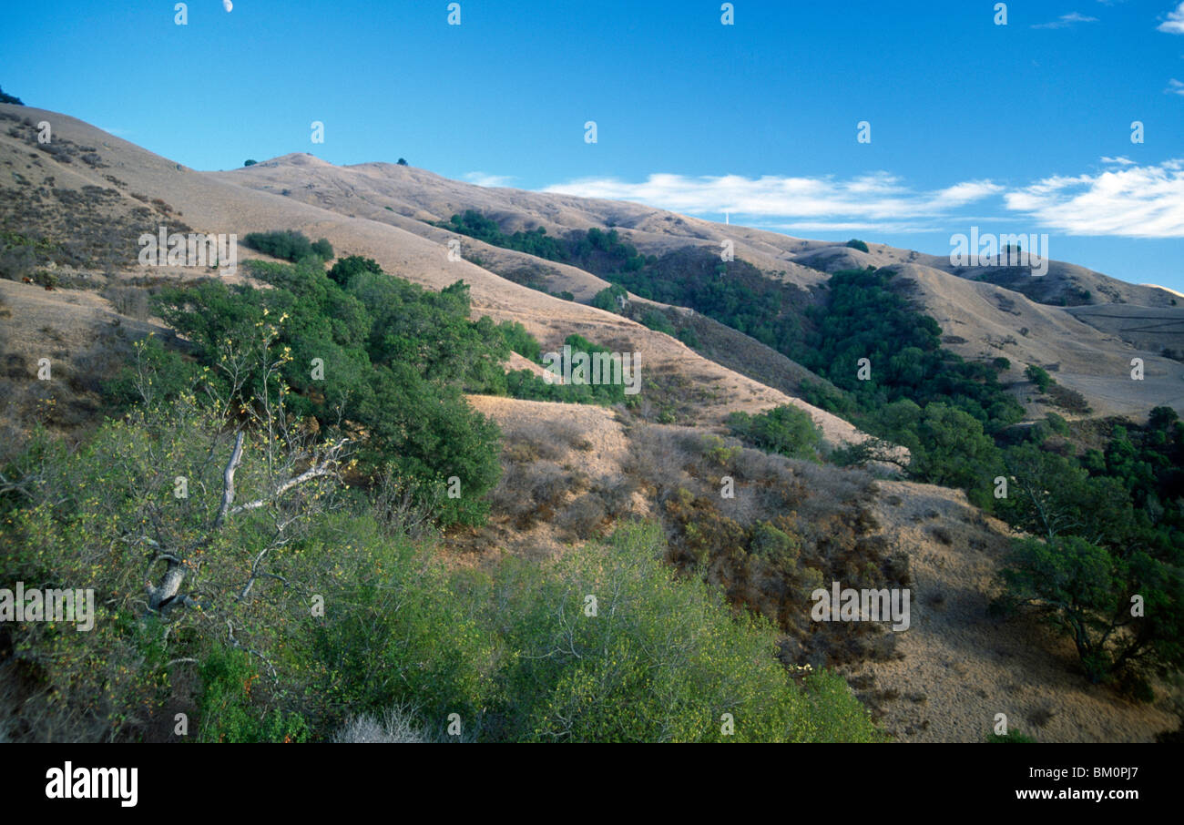 Panoramic view of hills, Santa Clara Valley, California, USA Stock ...