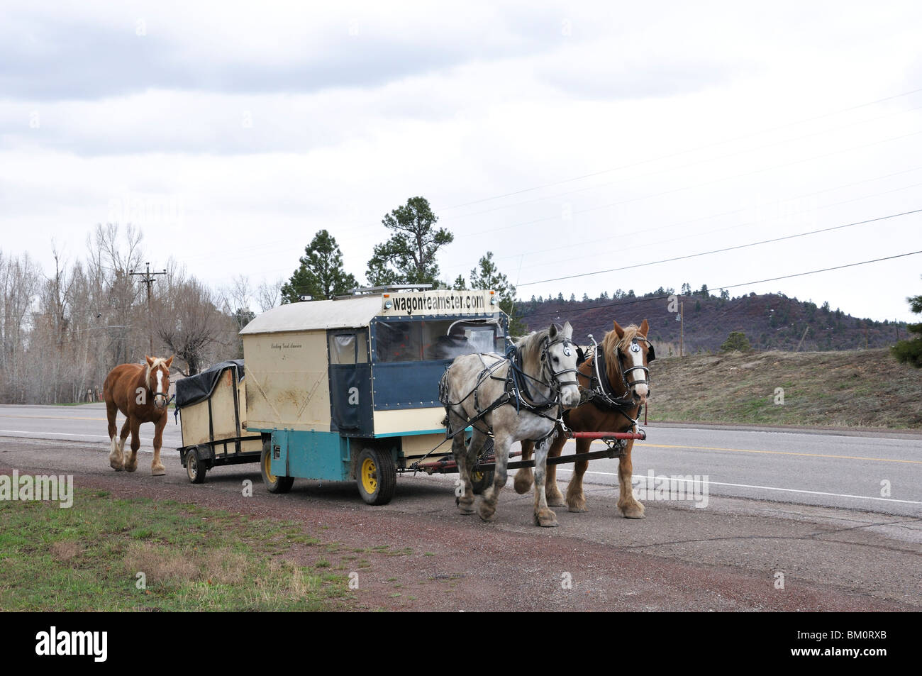 Wagonteamster - wagon and horse way of traveling, USA Stock Photo - Alamy