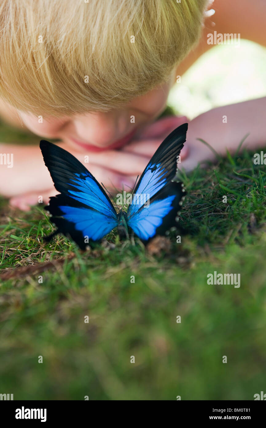 Butterfly observation hi-res stock photography and images - Alamy
