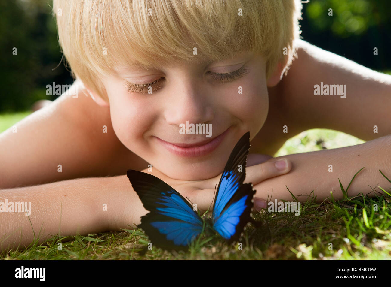 Child watching butterfly hi-res stock photography and images - Alamy