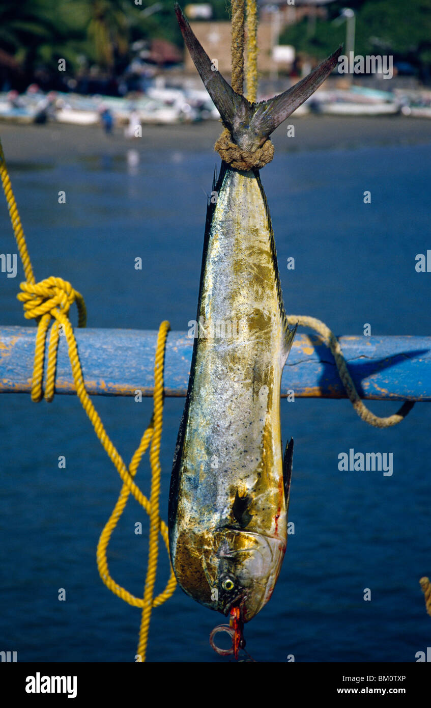 Bay of zihuatanejo hi-res stock photography and images - Alamy