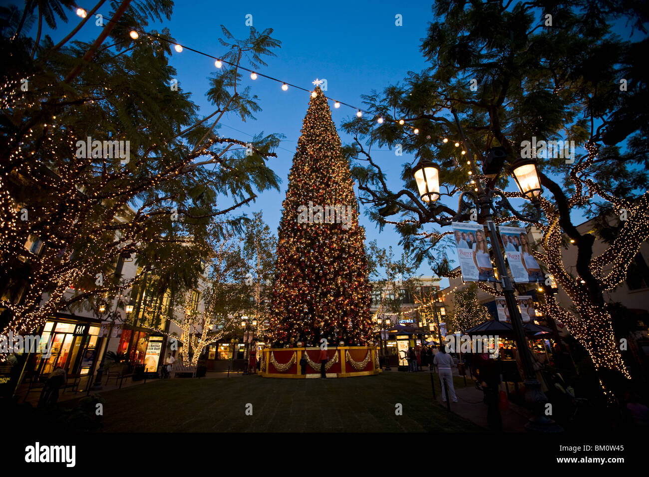 Grove christmas hi-res stock photography and images - Alamy